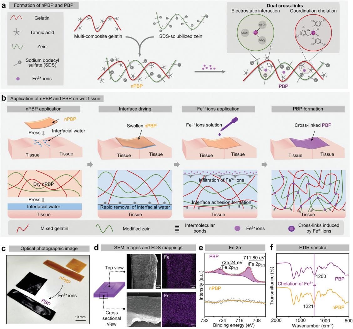  Advanced Healthcare Materials 